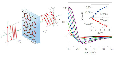 2Physics: A Large Faraday Effect Observed in An Atomically Thin Material