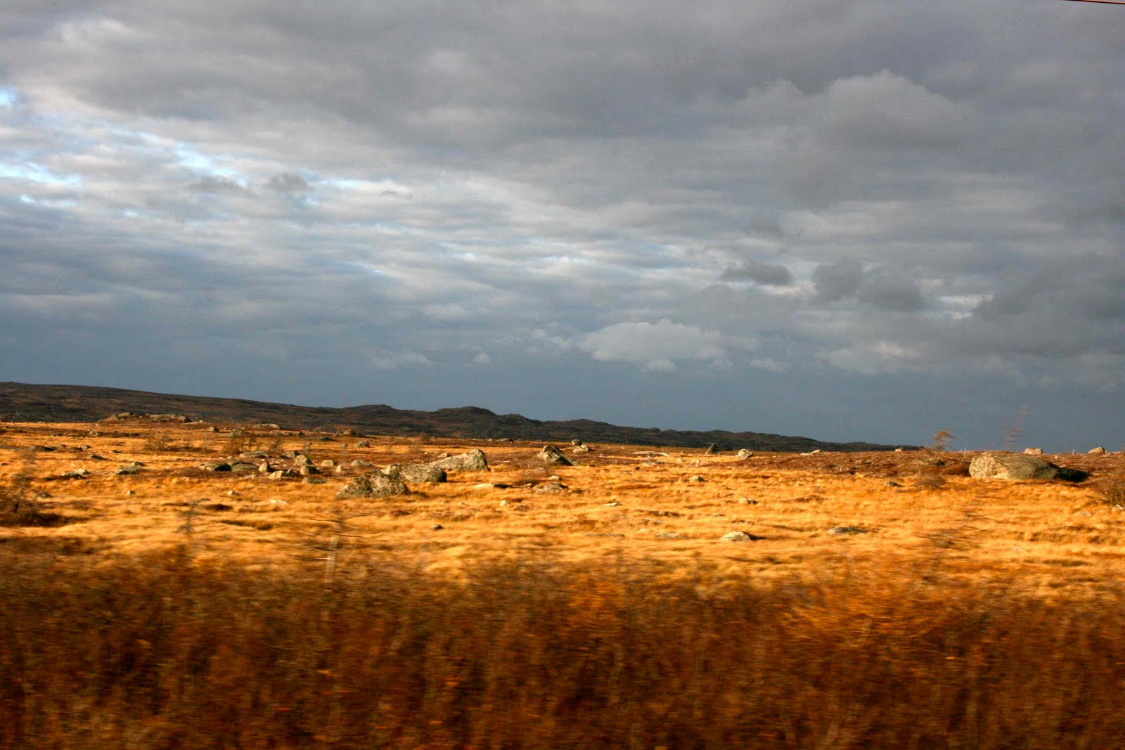 Notes from the Edge of the Continent: Burin Peninsula - First Road Trip ...