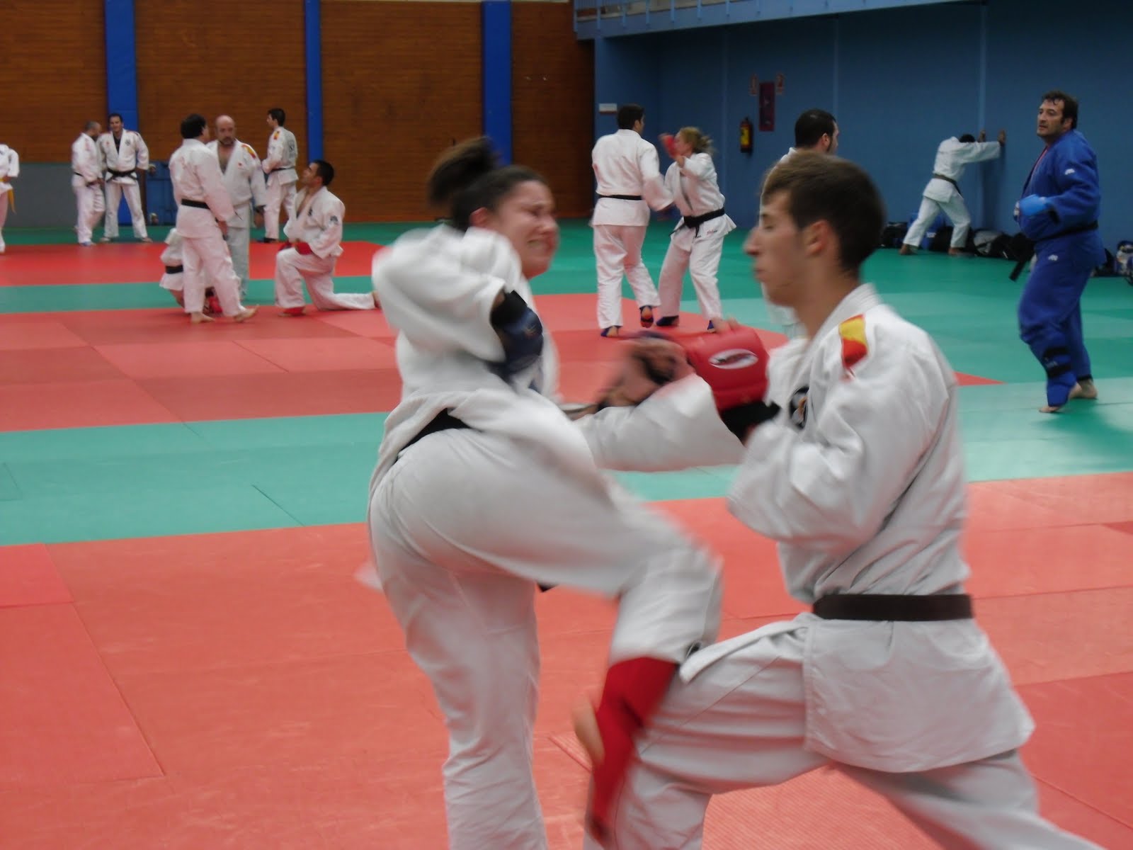 JITTSU CLUB Parla: Entrenamiento Fedrativo Jiu-Jitsu...