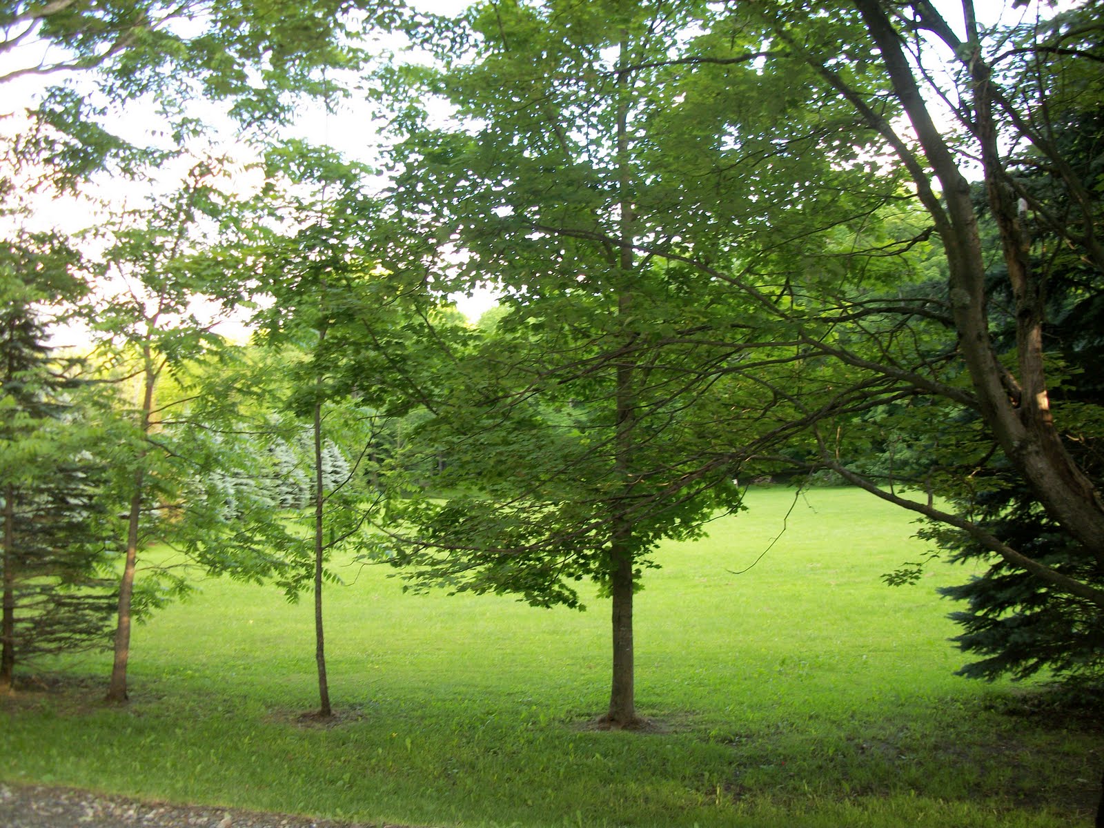 Writing Straight from the Heart: Scenic Shots of the New England ...