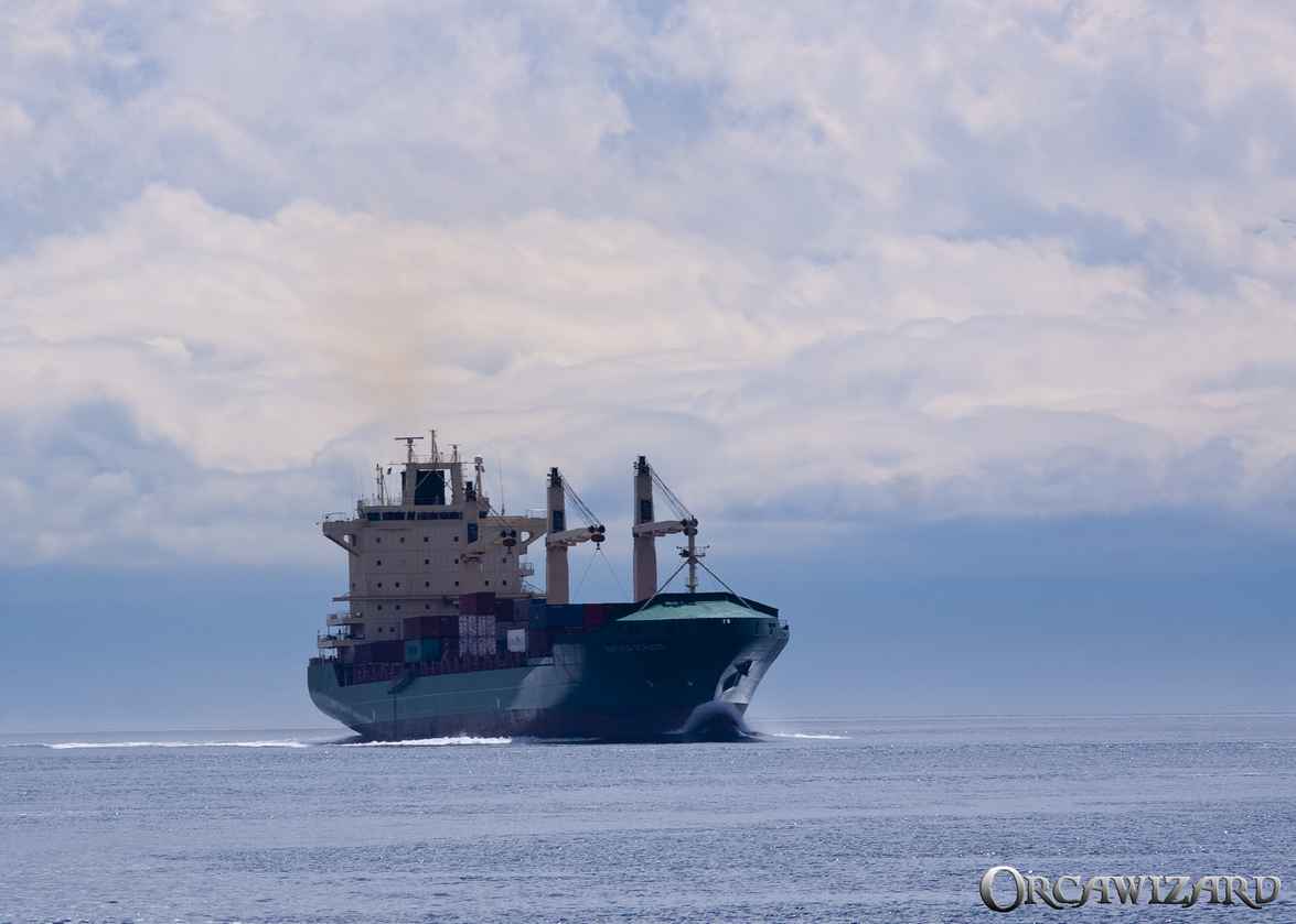 Prince of Whales blog: Ocean Magic Wildlife Adventure May 1