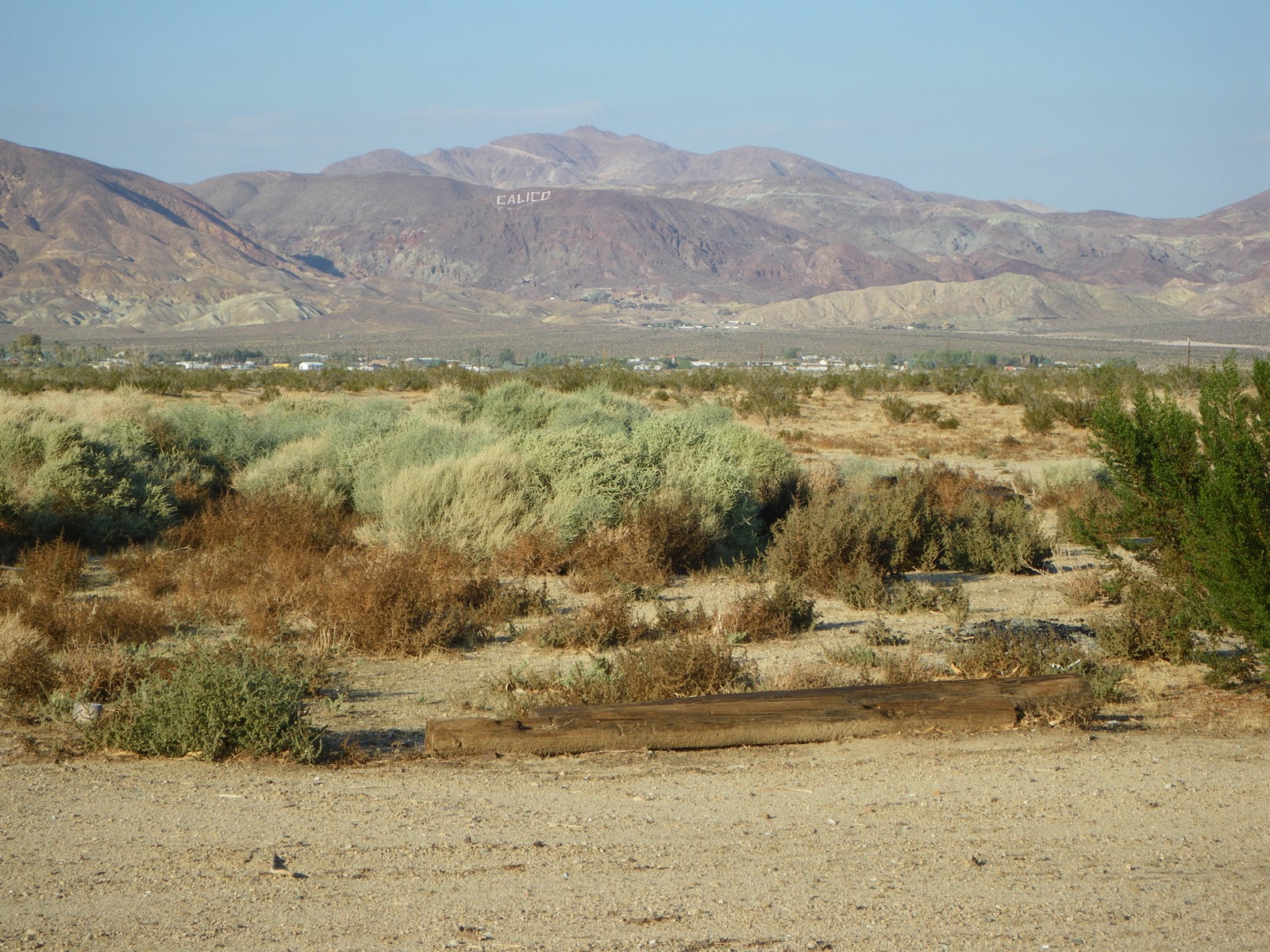 Alaska Kiwi: Friday October 22nd (Mojave Desert)
