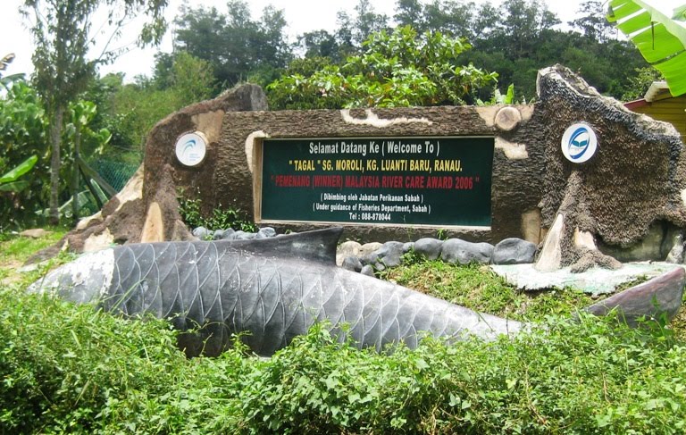 KINABALU: FISH THERAPY - MOROLI RIVER RANAU