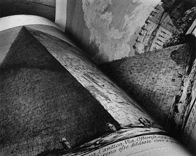 zoopat: Abelardo Morell - Books