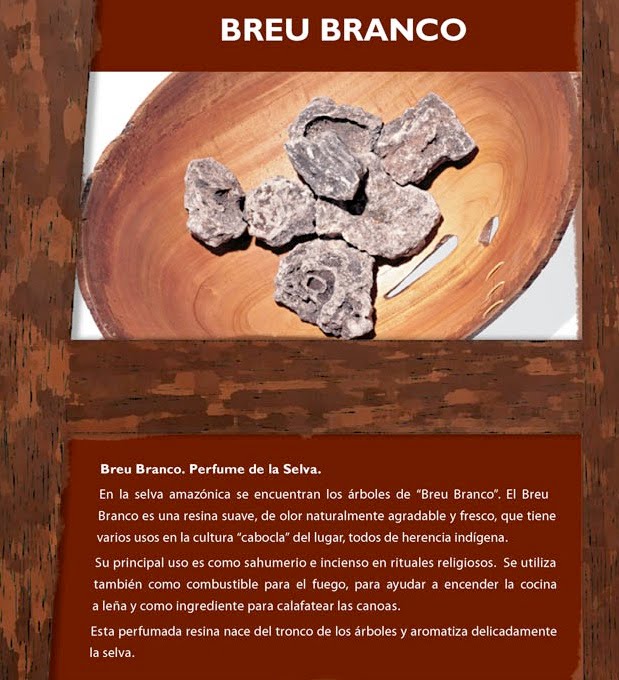 Natura Cosméticos: El Producto de la Semana!! ... EKOS Breu Branco