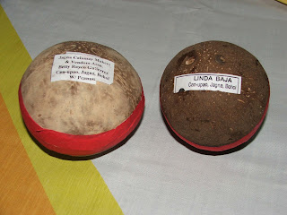 Emancipation of Jane: Bohol Native Delicacies