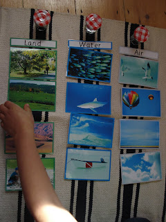 THE LEARNING ARK - Elementary Montessori : Land Water and Air