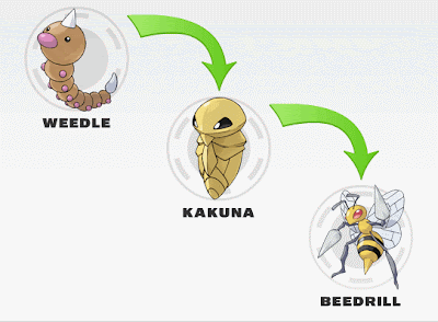 Pokemon Evolução: Evolução Weedle