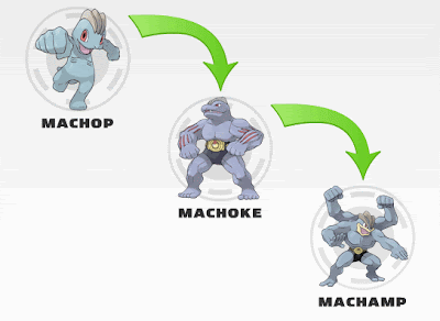 Pokemon Evolução: Evolução Machop