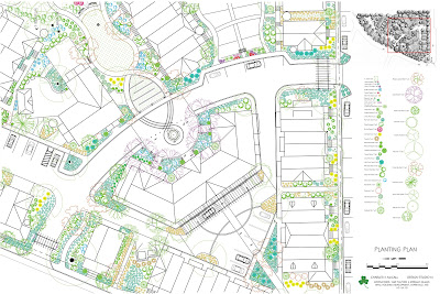 PopTart Nation: Infill Housing Development Planting Plan