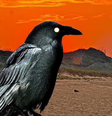 PSYCHOSCAPES: The most beautiful thing we can experience is the mysterious