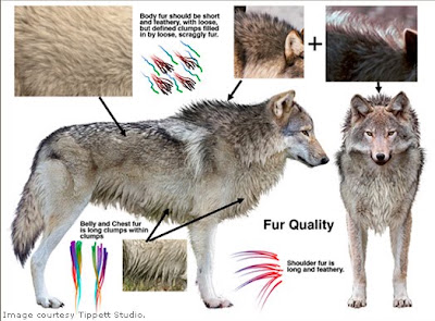 TWI-session Blog: New Moon's CGI Wolves