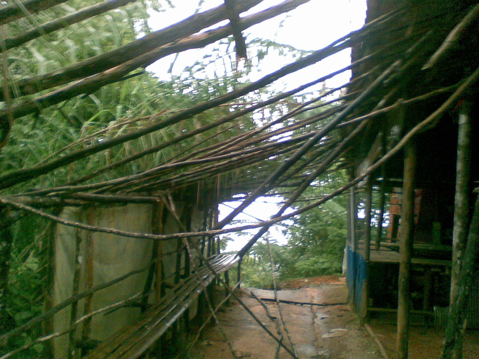 My World: AVARE SIRI PADE (Adam's Peak Sri Lanka)