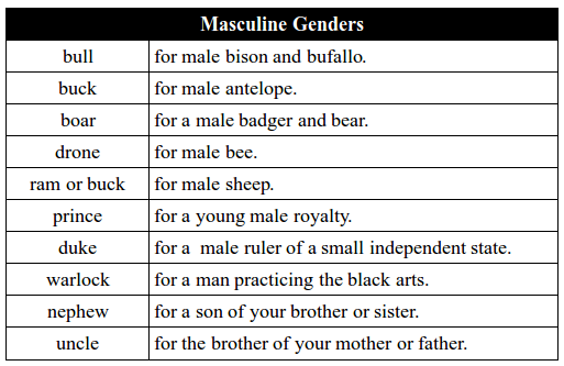 Genders Of Nouns Masculine genders-of-nouns-masculine