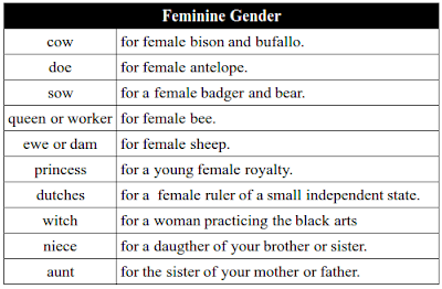 Genders of Nouns: Feminine