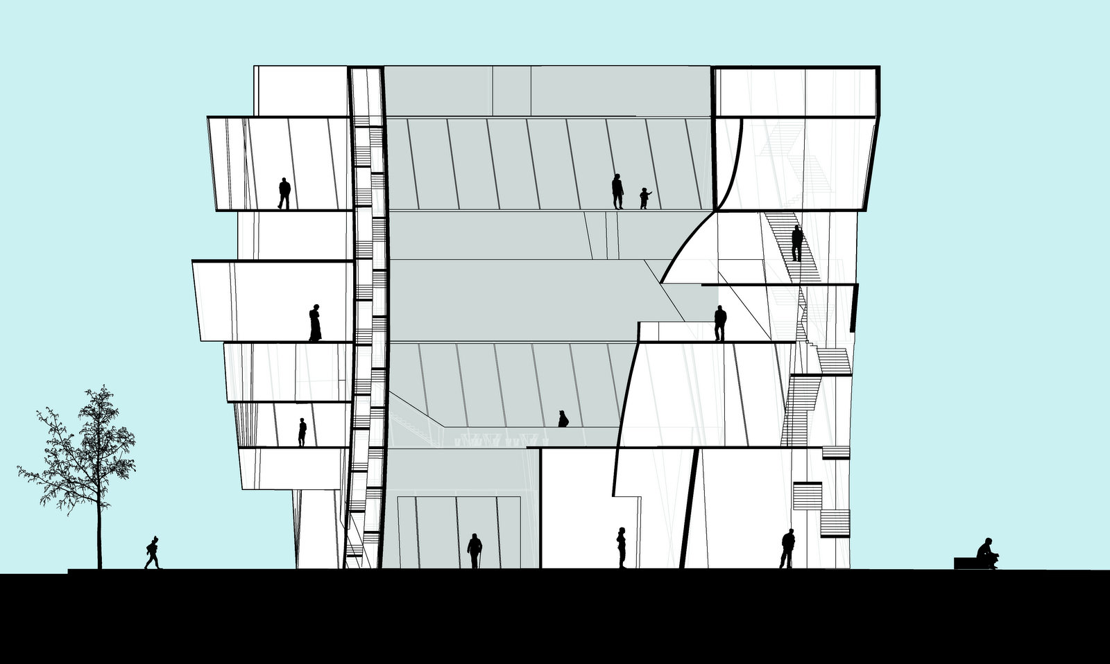 SAM SLATER ARCHITECTURE: MA+C longitudinal sections