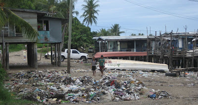 Andy and Judy's Adventure: Popua New Guinea and Darwin