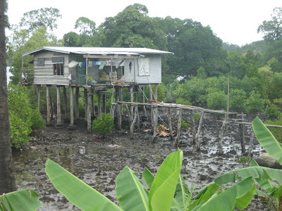 Andy and Judy's Adventure: Popua New Guinea and Darwin