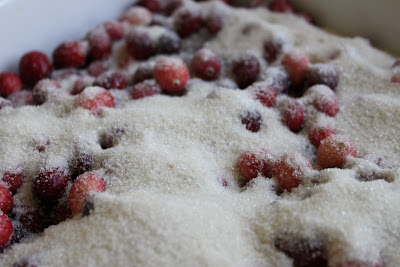 A Girl, a Market, a Meal...: Cranberries in the Snow