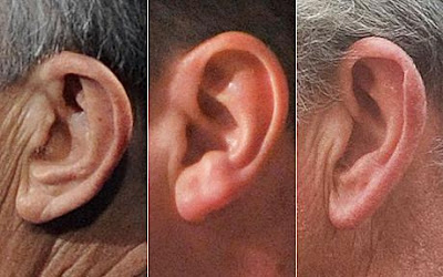 LinkNotes: Identification of People by Their Ears