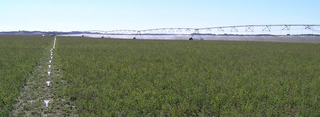 Irrigated Agriculture: Centre Pivot Evaluation