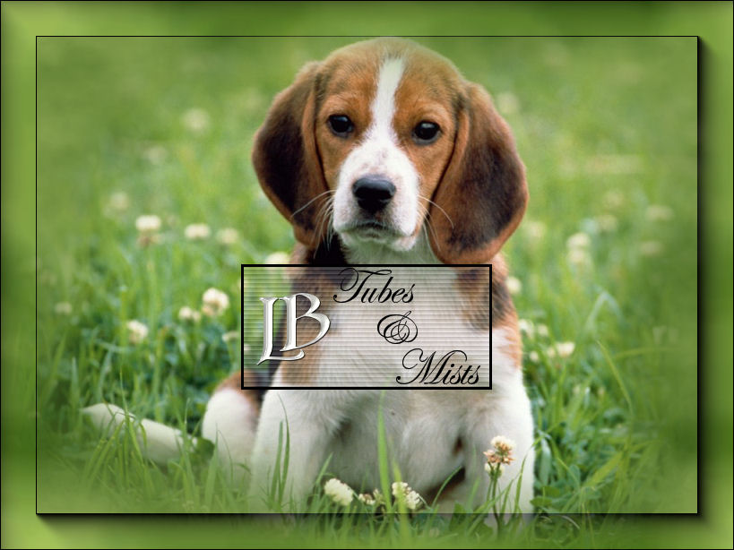 LB TUBES & MISTS: ANIMALES