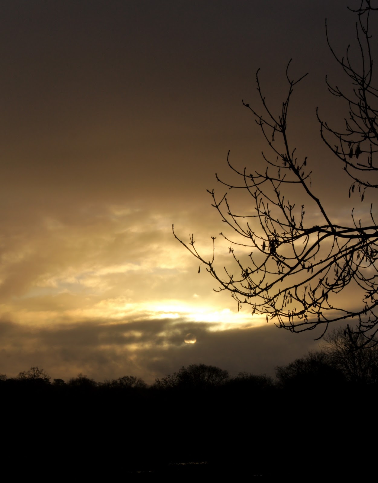 REAL LIFE: Early morning sky