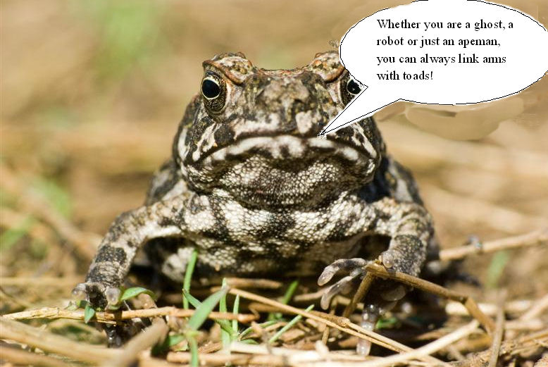 The Spoons That Are My Ears!: October 2010