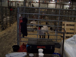 Travis Erwin: Show Me -- A My Town Monday Post