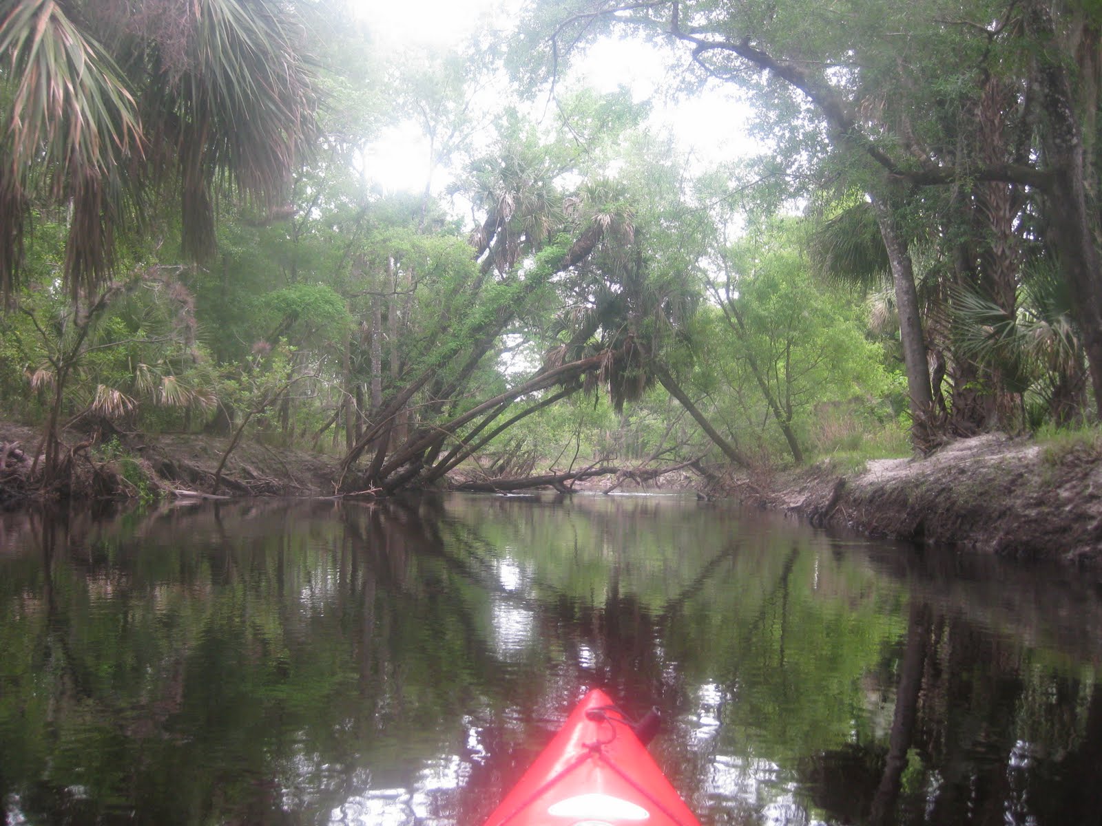 Dave's Yak Tales: Econlockhatchee River