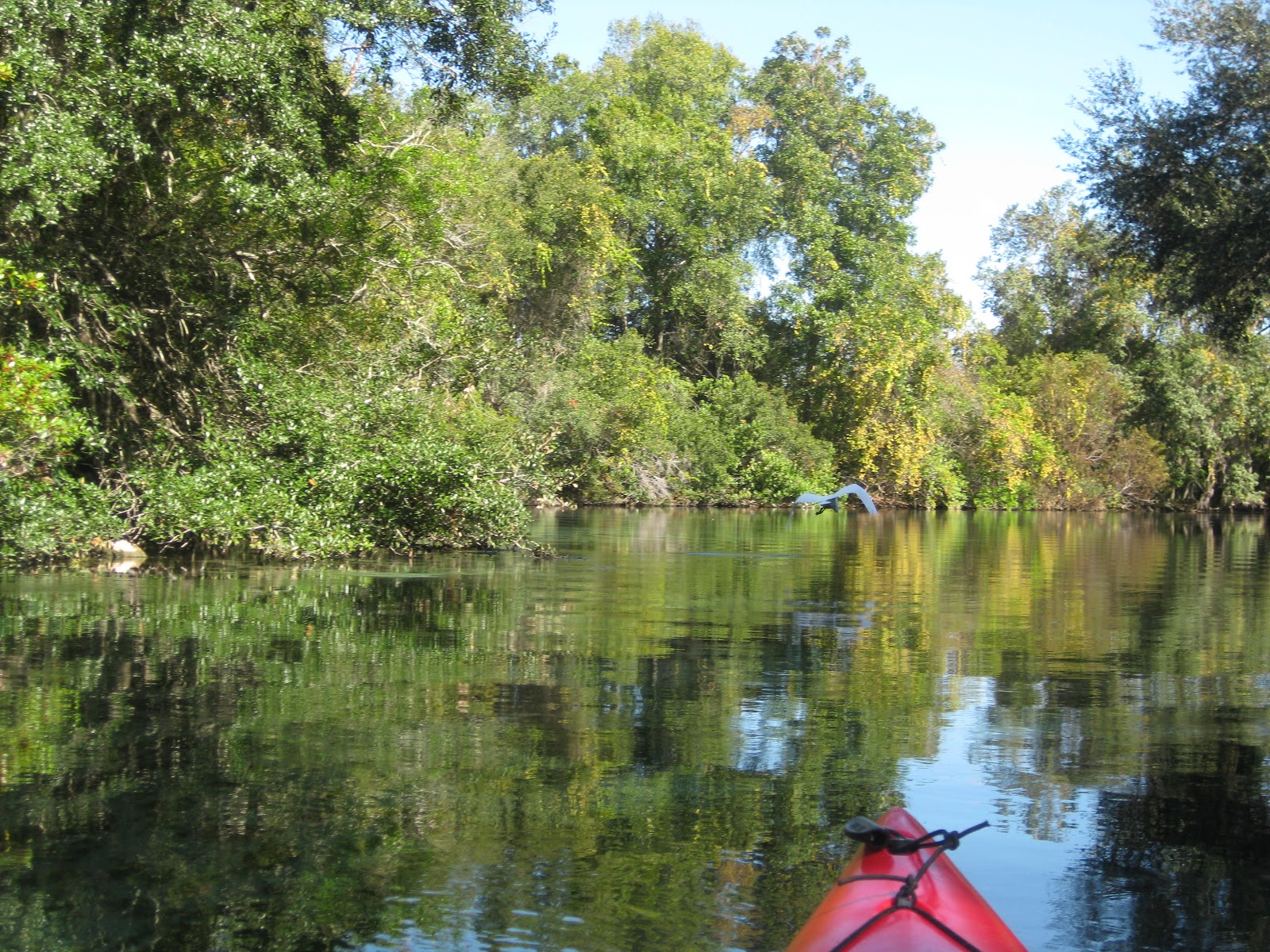 Dave's Yak Tales: Weeki Wachee River