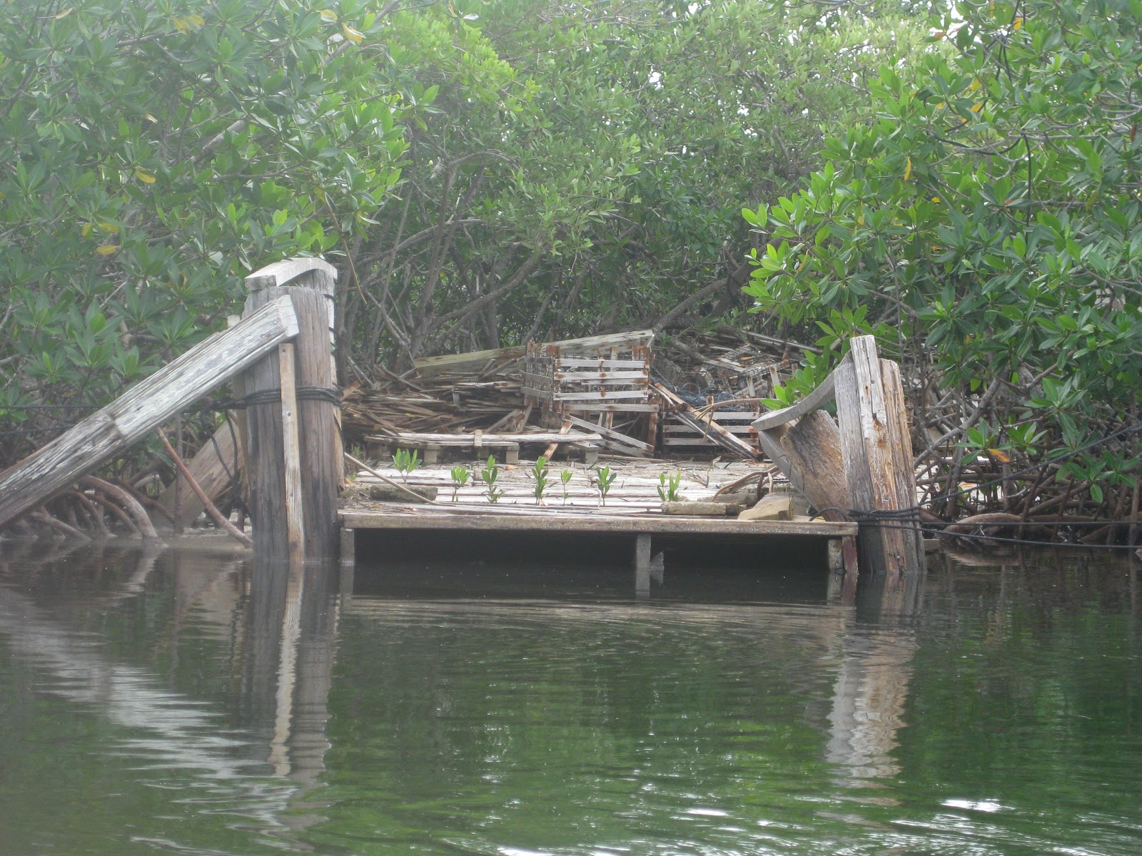 Dave's Yak Tales: Long Key State Park