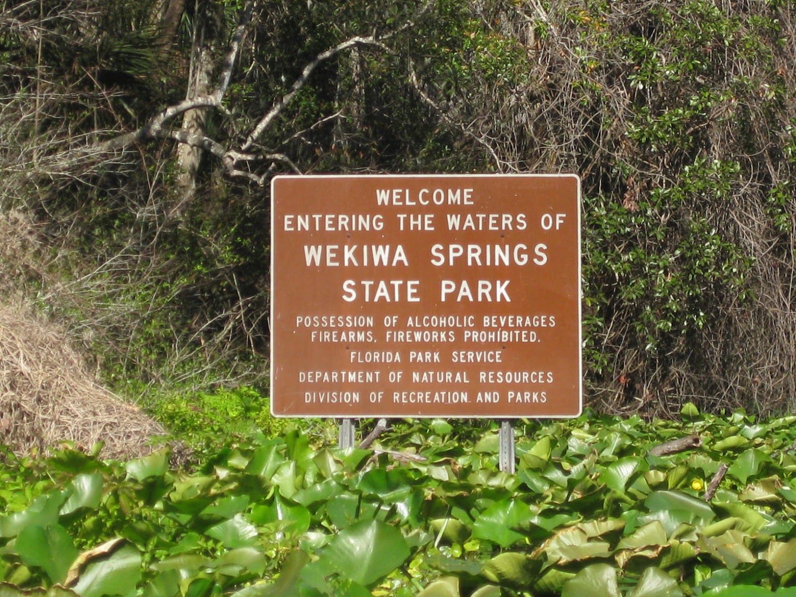 Dave's Yak Tales: Rock Springs Run