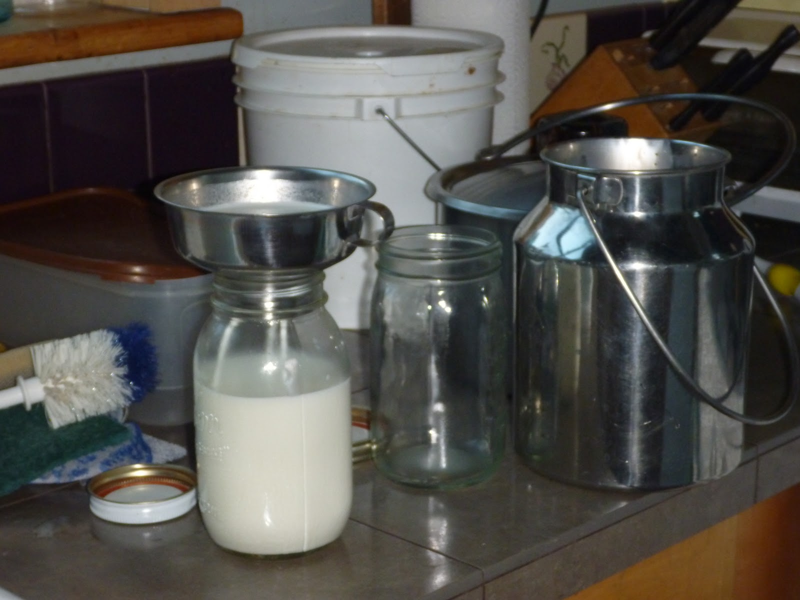Whidbey Island Hobby Farm: Raw Goat Milk - is it safe?