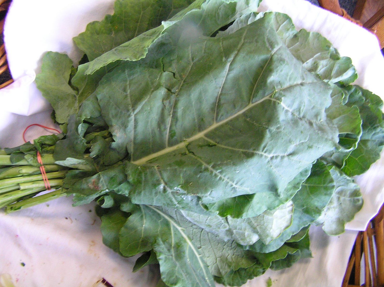 powered by veggies: WHAT IS THIS VEGGIE?