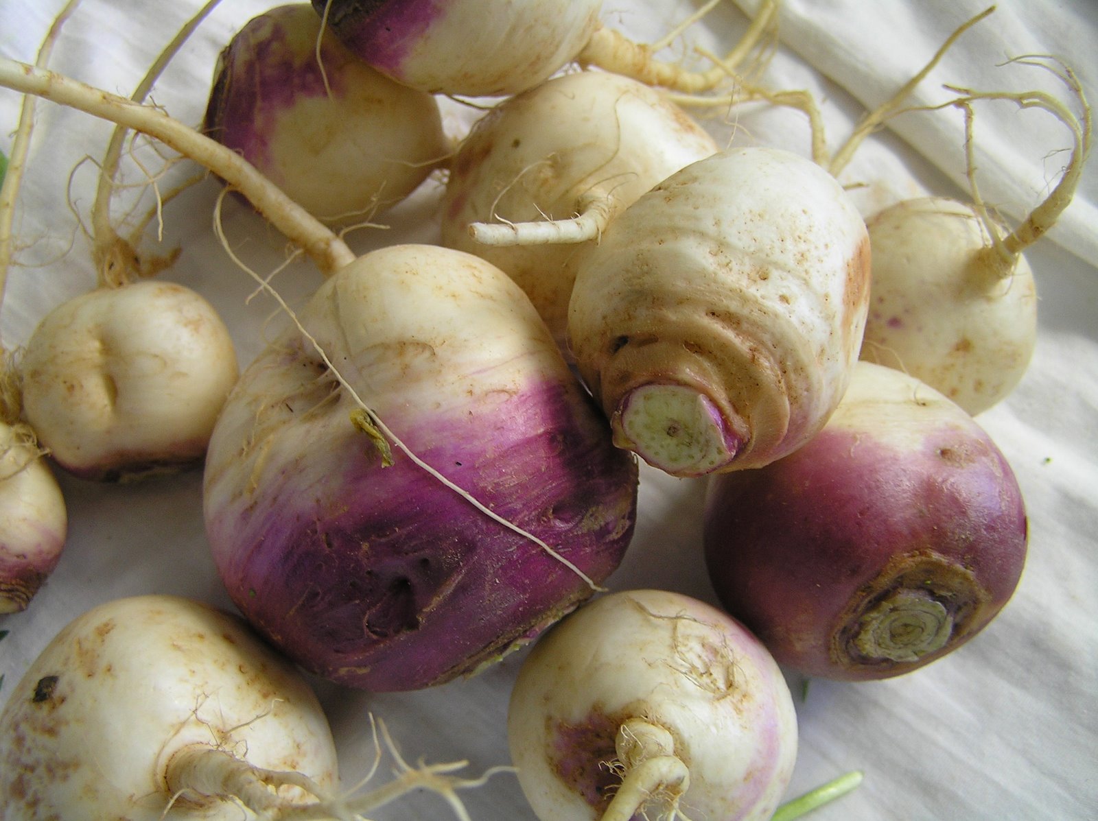 powered by veggies: WHAT IS THIS VEGGIE?