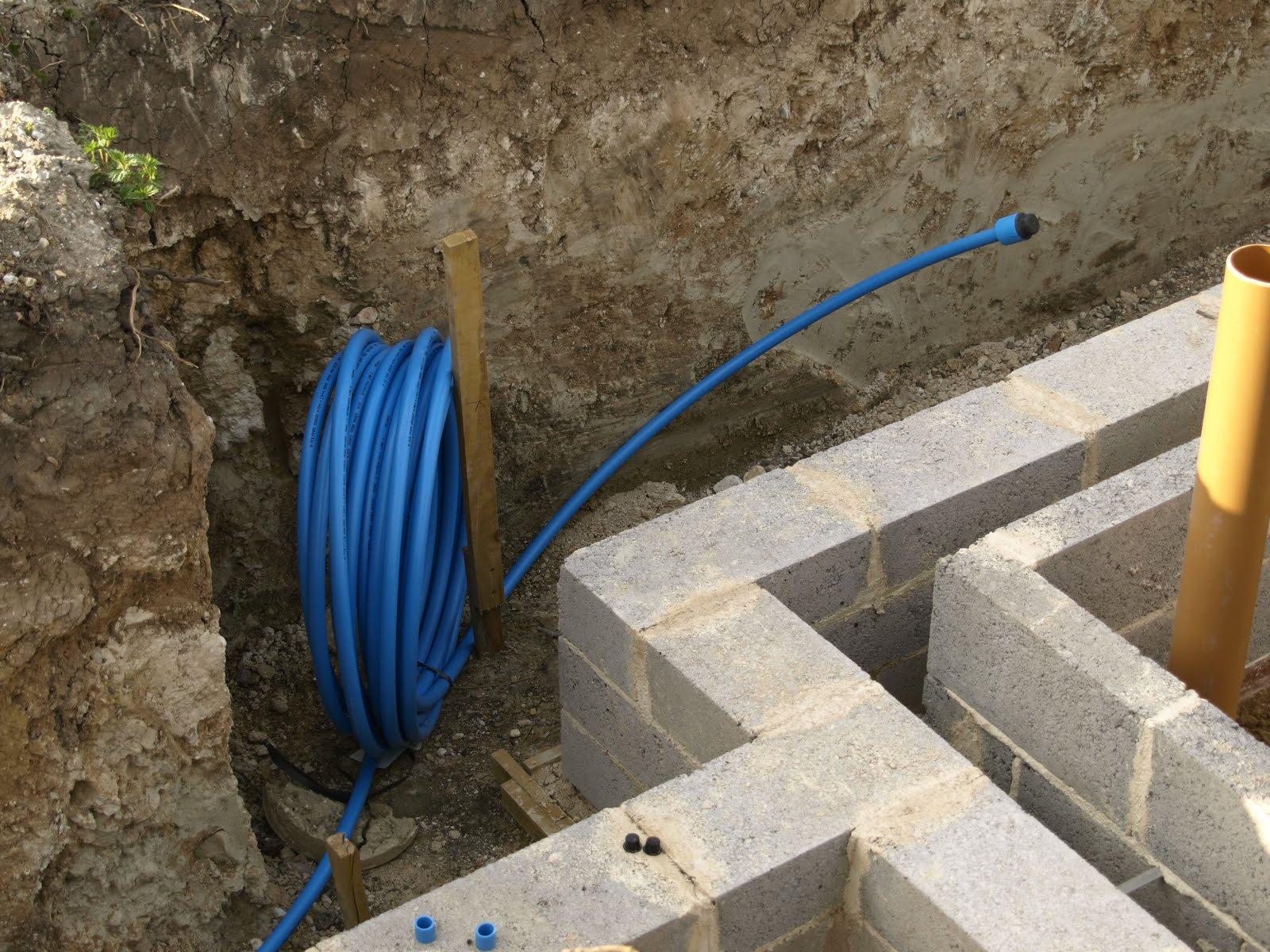 DESIGNED: TO BREATHE: 05/01/2010 - 06/01/2010