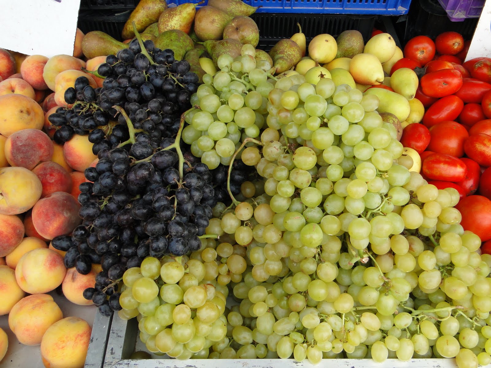 PLANTAS,FLORES,FRUTAS Y VERDURAS: FRUTOS DE LA HUERTA MURCIANA