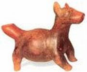 My Hybrid Life: Extinct Dog Breed - the Techichi