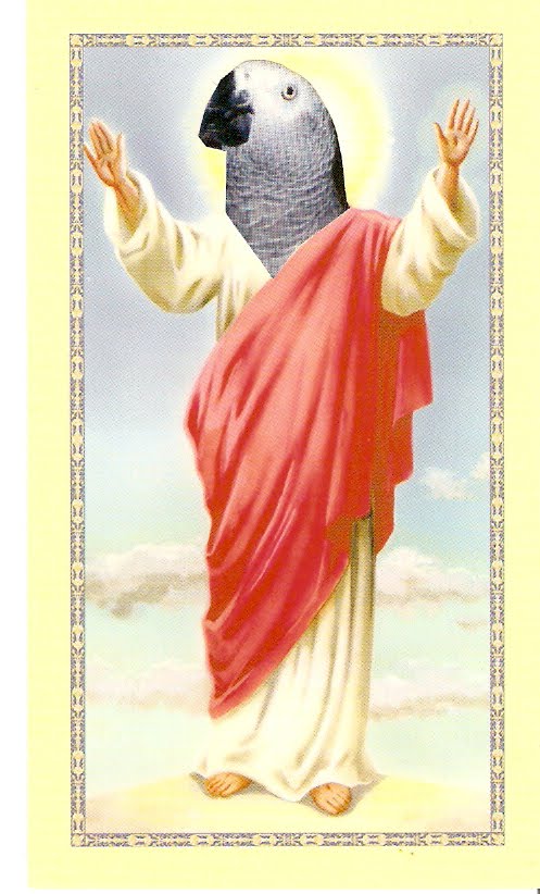 Kiwi's Angels: Pious Pets