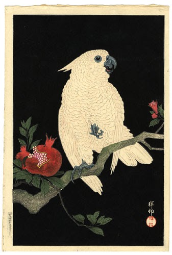 Kiwi's Angels: Japanese Parrot Art