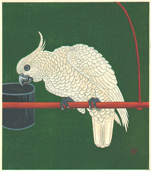 Kiwi's Angels: Japanese Parrot Art