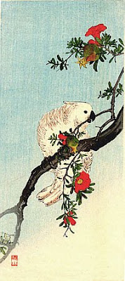 Kiwi's Angels: Japanese Parrot Art