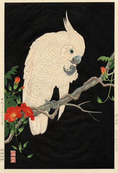 Kiwi's Angels: Japanese Parrot Art