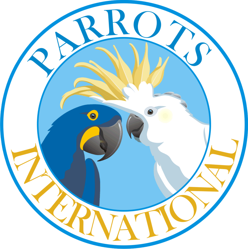 Kiwi's Angels: Parrot logos