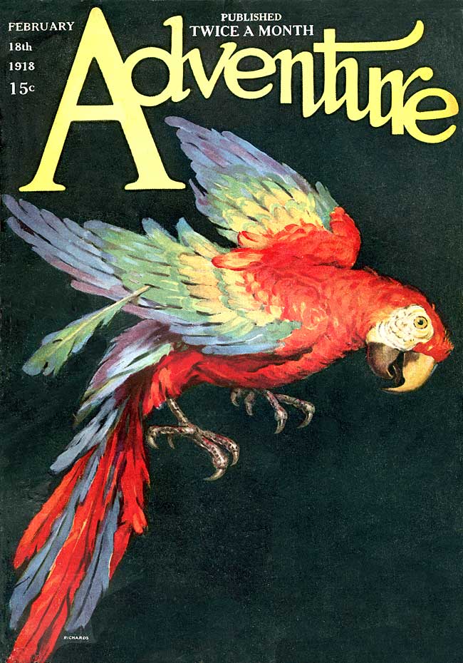 Kiwi's Angels: Parrots on Vintage Magazine American Covers