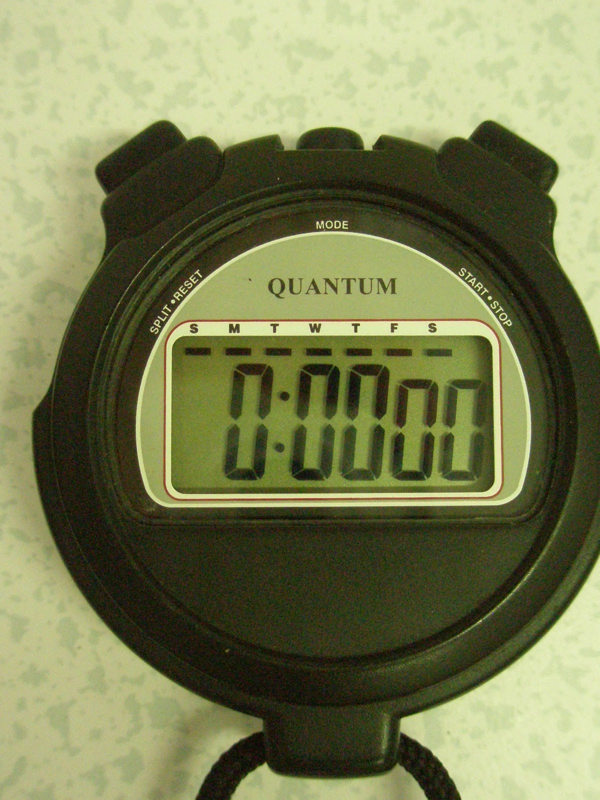 Adriana Dobrin: Enzyme Lab