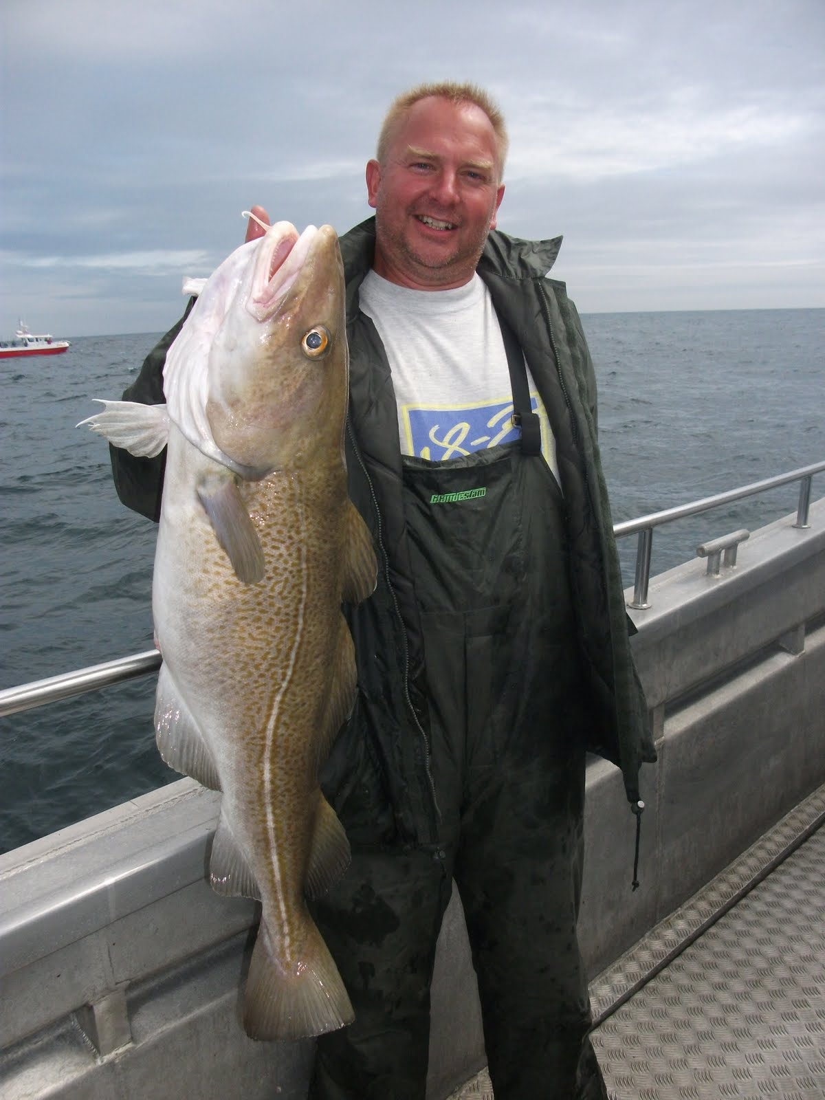 Catch Reports: June 2010