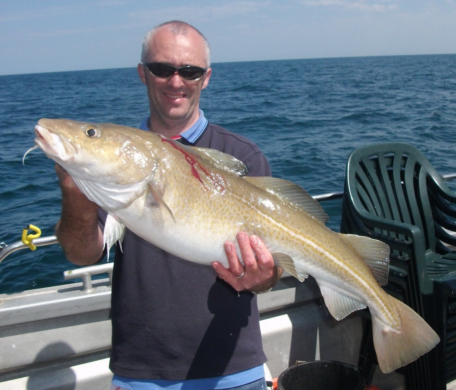 Catch Reports: June 2010