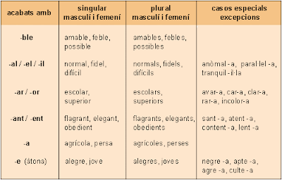 BLOC DE CATALÀ DE PRIMER D'ESO: L'ADJECTIU: GÈNERE I NOMBRE